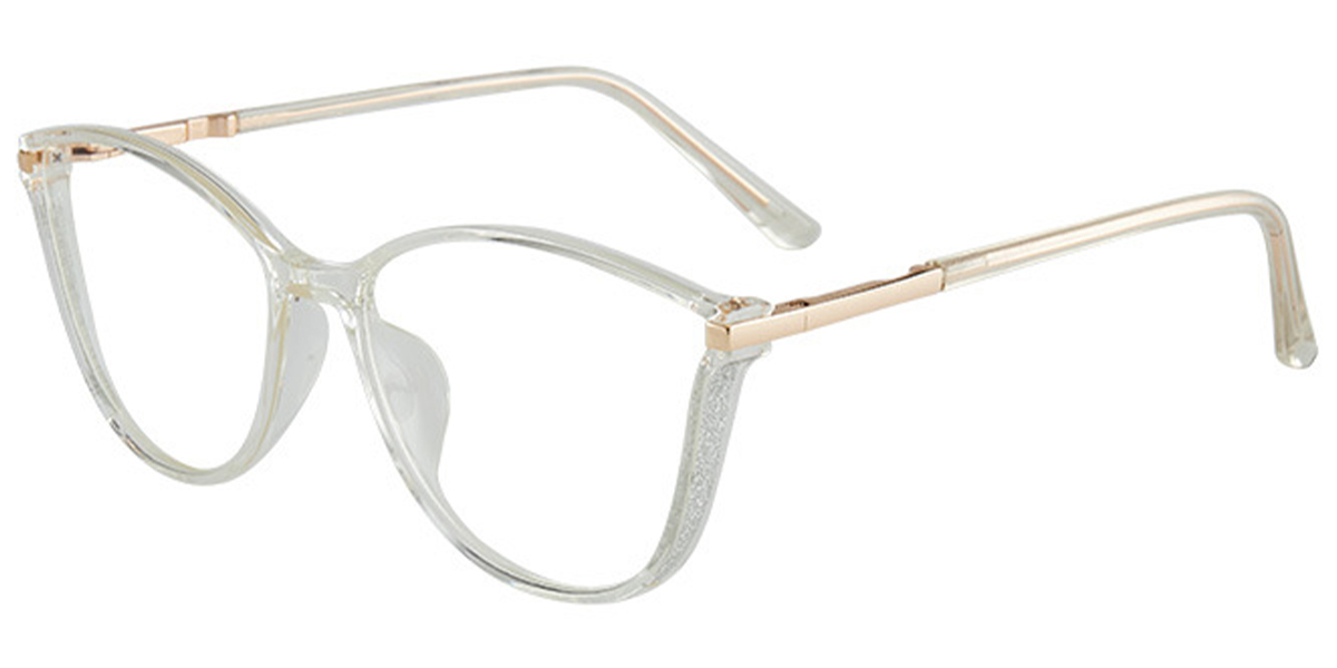 Wholesale TR Mixed Material Square Frame